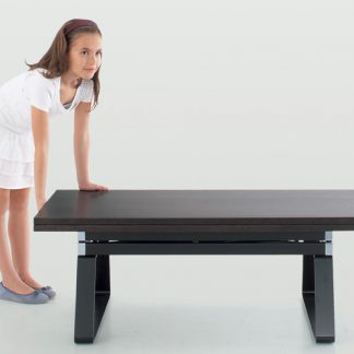 Multifunction Tables
